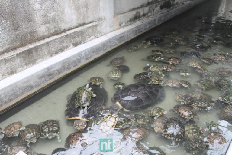 霹雳州实兆远(Sitiawan)之一日游好去处 - Next Trip 继续旅游！