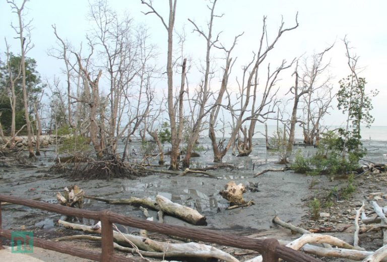 霹雳州实兆远(Sitiawan)之一日游好去处 - Next Trip 继续旅游！