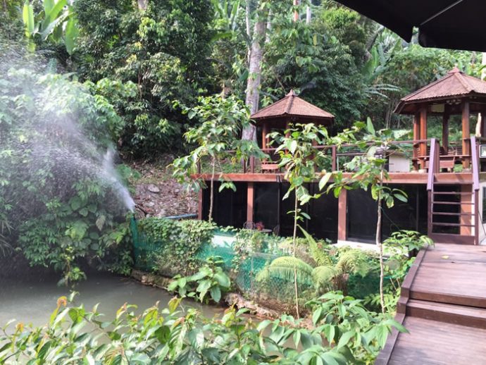 The Templer Park Rainforest Retreat - Next Trip 继续旅游！